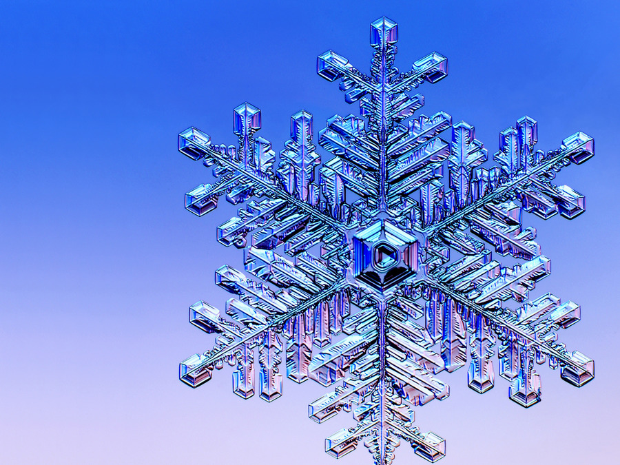 Snowflake Backgrounds Wallpaper High Definition High Quality Widescreen